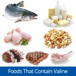 Amino Acids: The Body's Building Blocks of Protein